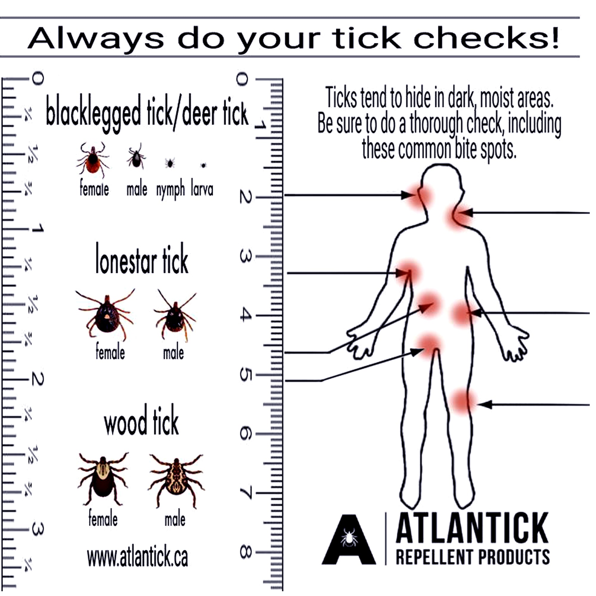 🛠️ AtlanTick Tick Kit – Your All-in-One Tick Removal & Protection Solu ...